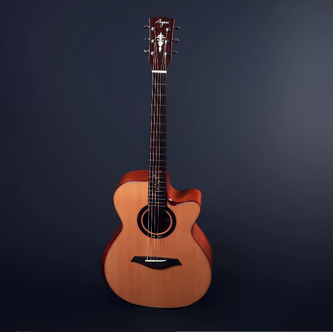 Ayers Passion Deluxe ACXW - hkguitarstore.com